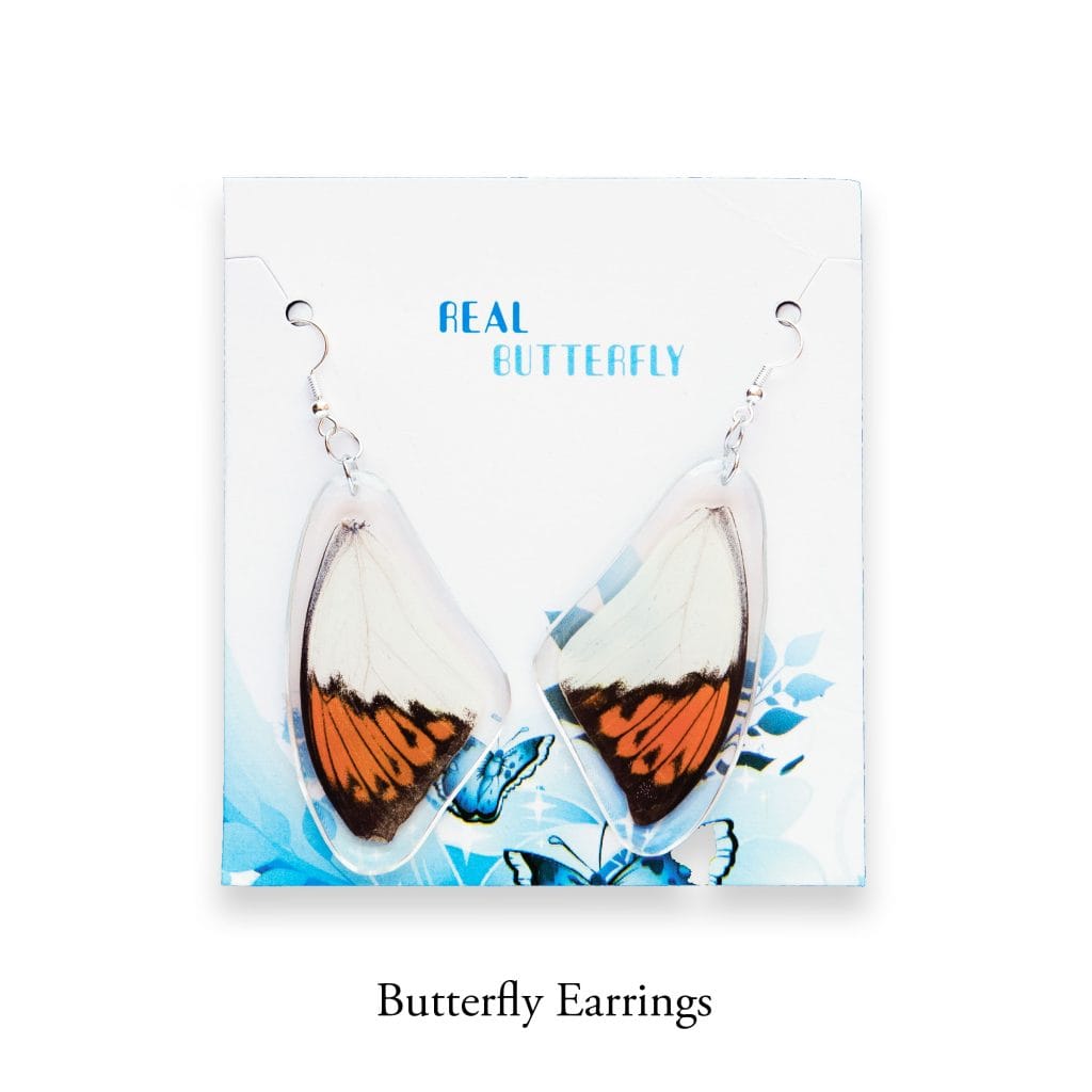 Real Butterfly Framed Wall Art - Free Shipping - Resin Encased Hebomoia "The Great Orange Tip ...